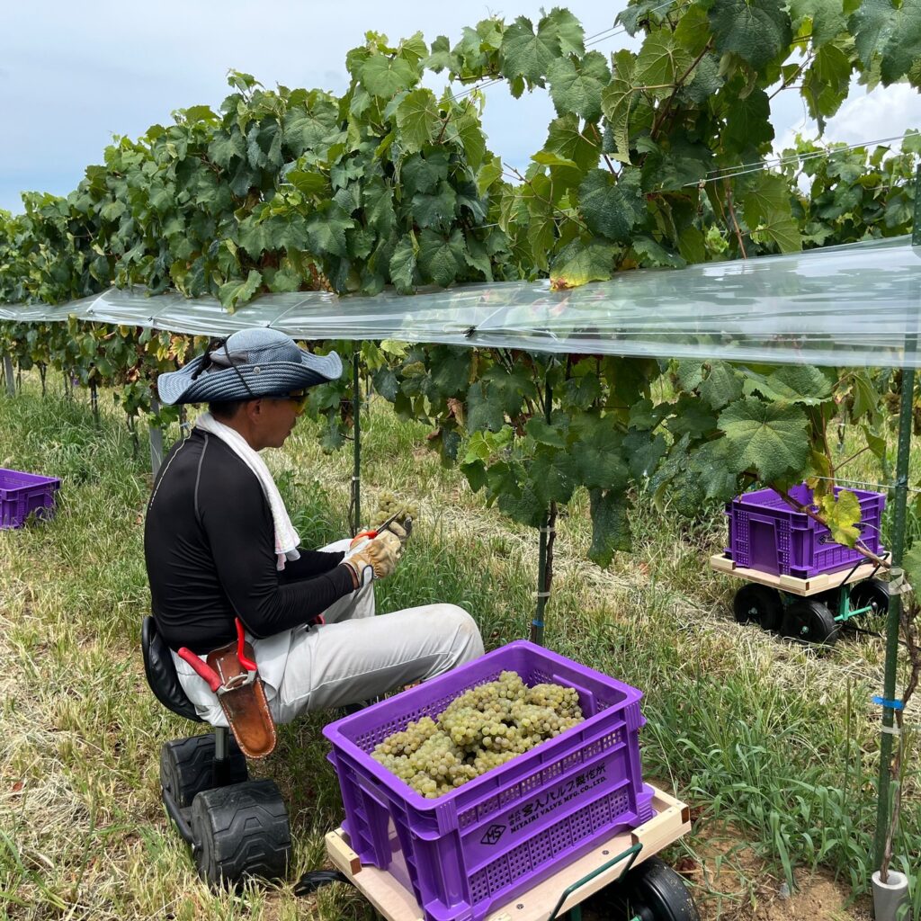 食品加工機器＋6次産業化 | MS Online Shop（by 宮入バルブ製作所）